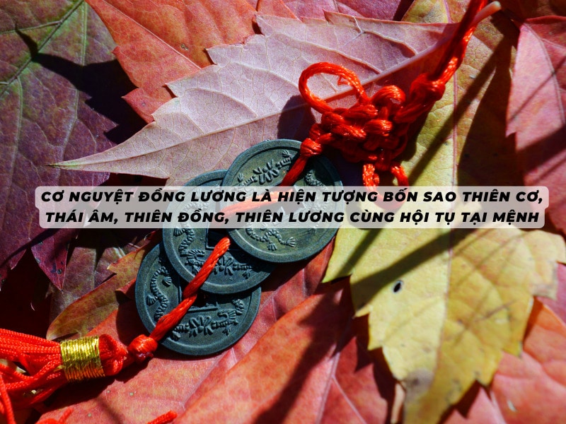 Cơ Nguyệt Đồng Lương trong tử vi có những ảnh hưởng gì?
